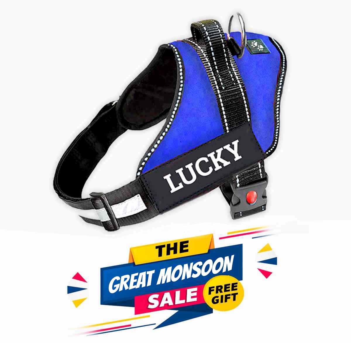 Personalized Dog Harness - BLUE – Indihopshop