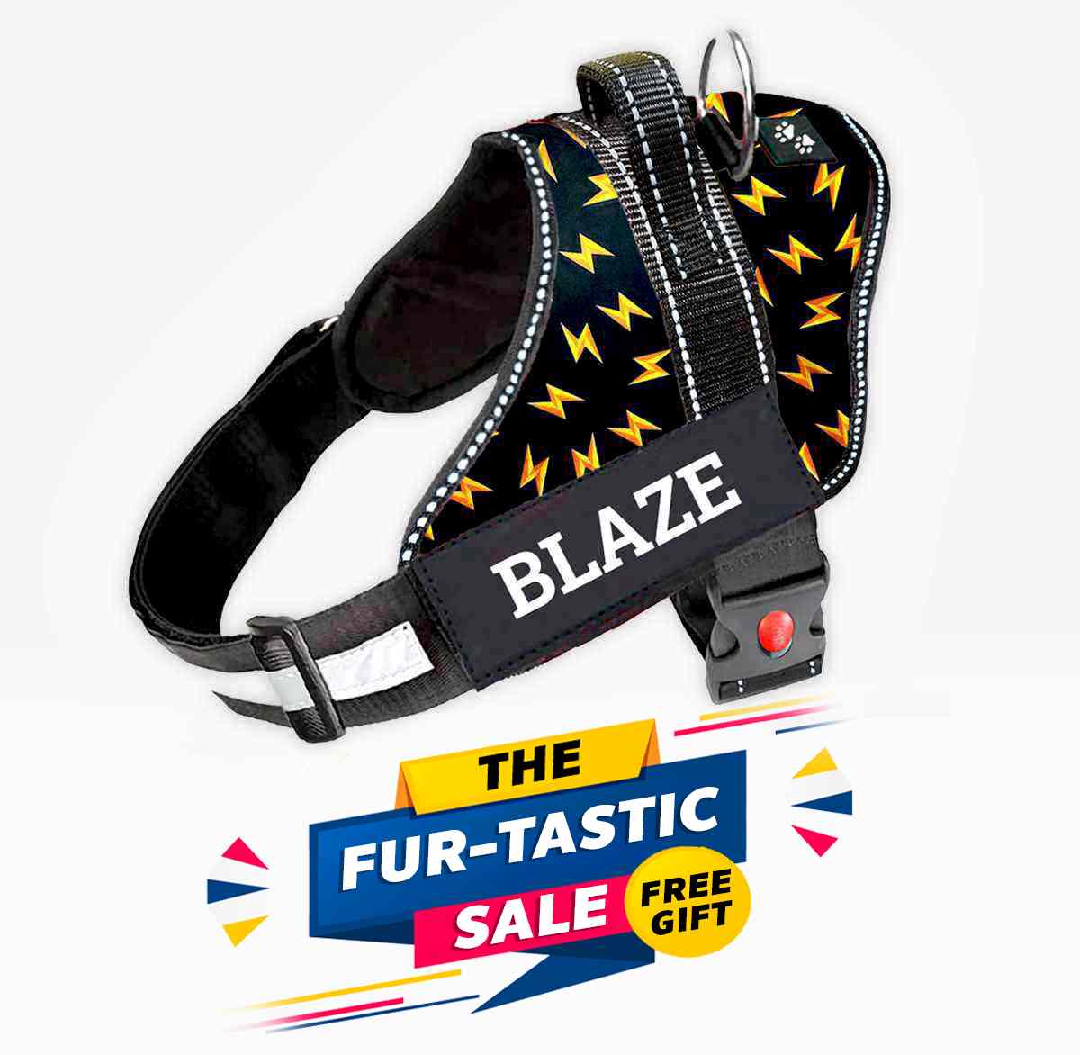 Personalized Dog Harness - THUNDER – Indihopshop